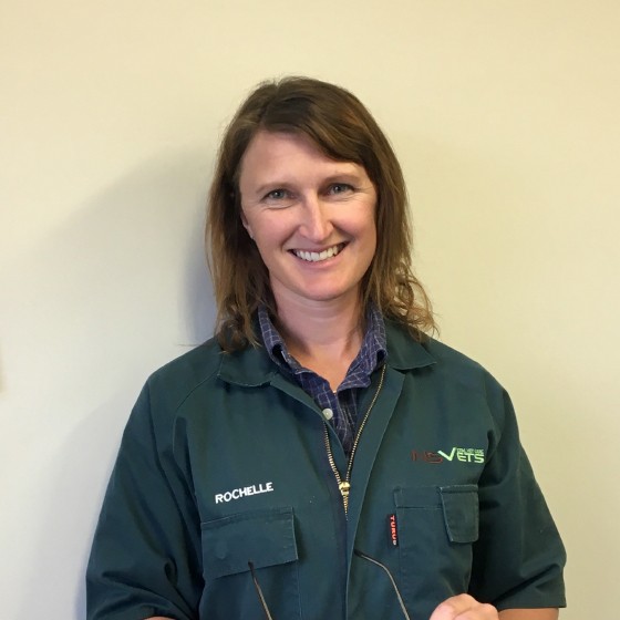 Rochelle Smith BVSC MANZCVS (Sheep Medicine) - Staff